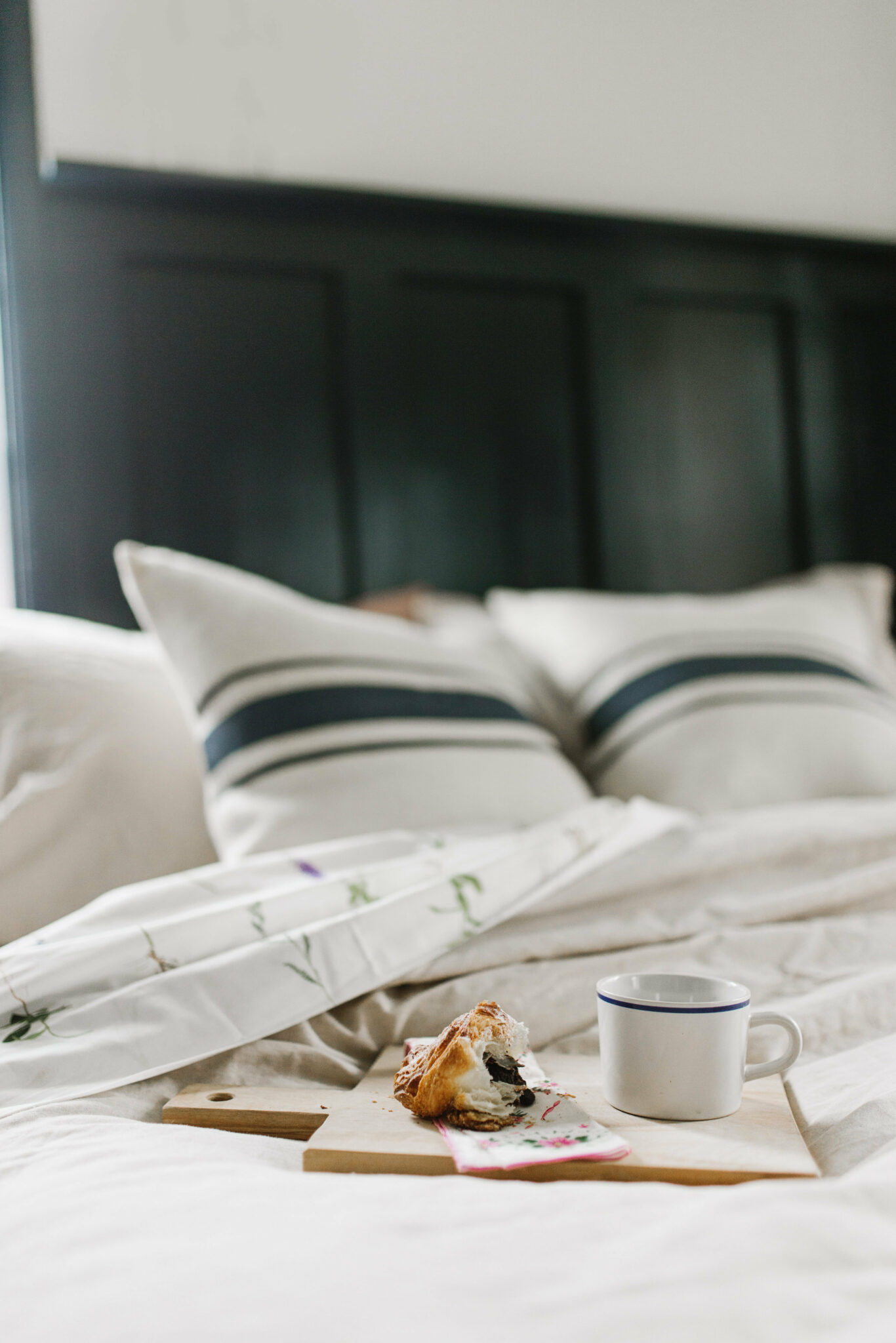 Bedroom Inspiration - The Chris and Claude Co. Design & Build an Addition | Honey Brook, PA